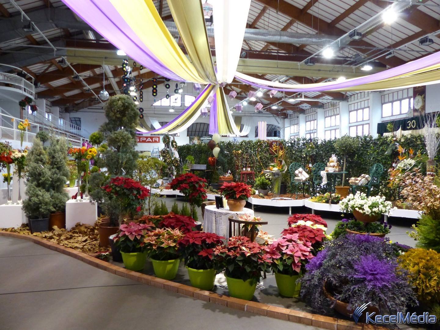 Újra lesz Flora Virágfesztivál Kecelen | Balkonada