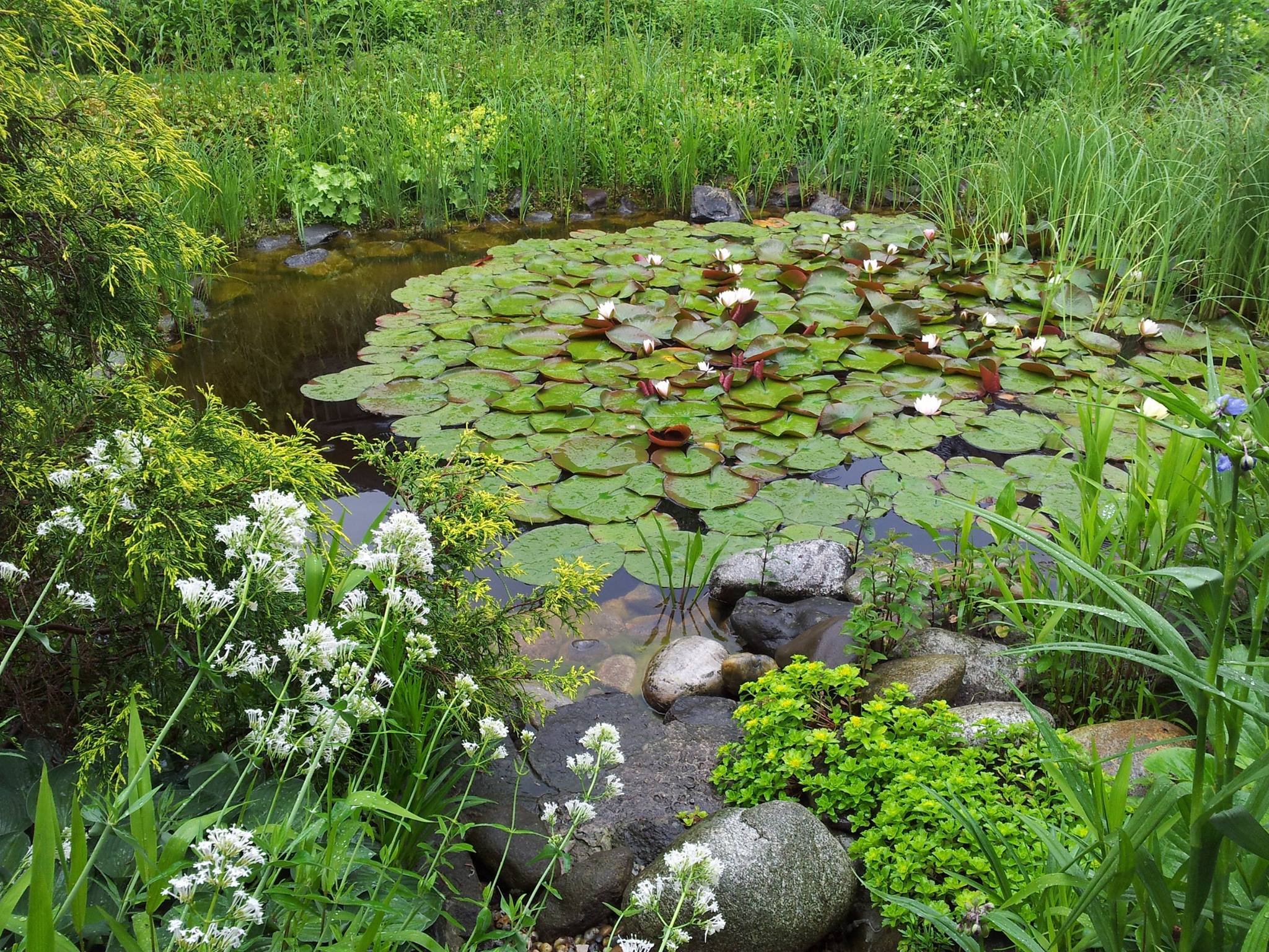 Ilyen kertben garantáltan madárcsicsergésre ébredsz | Balkonada