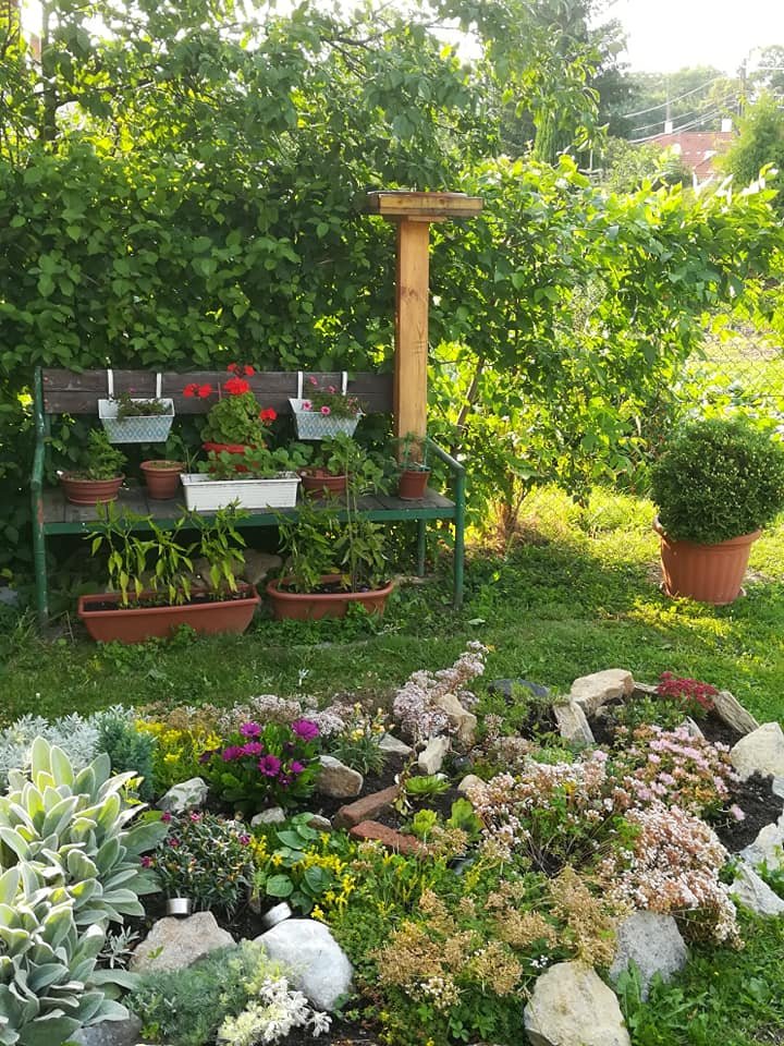 50 évet várt, hogy kertje legyen - megérte | Balkonada