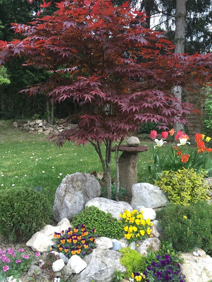 20 inspiráló sziklakert síkterületre is | Balkonada